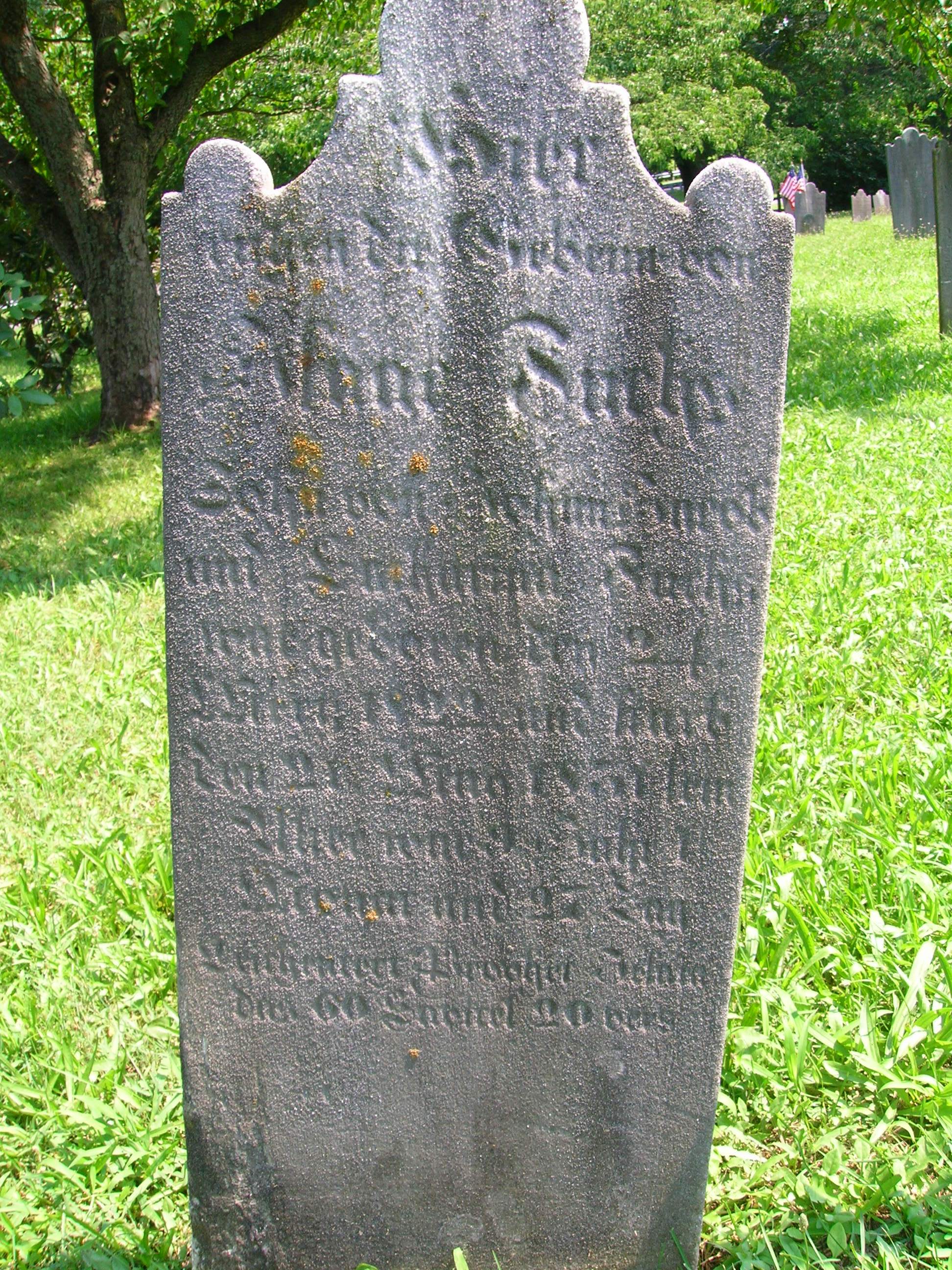 Johann Jacob Fuchs 1774-1830 – Leaves on the Tree